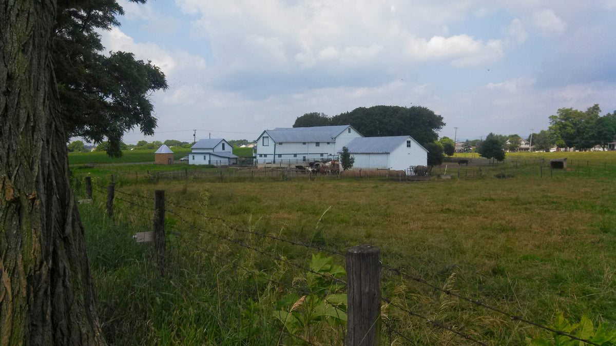 Carwood Farm's Locally Raised Beef Mecca! – Carwood Farm, LLC.